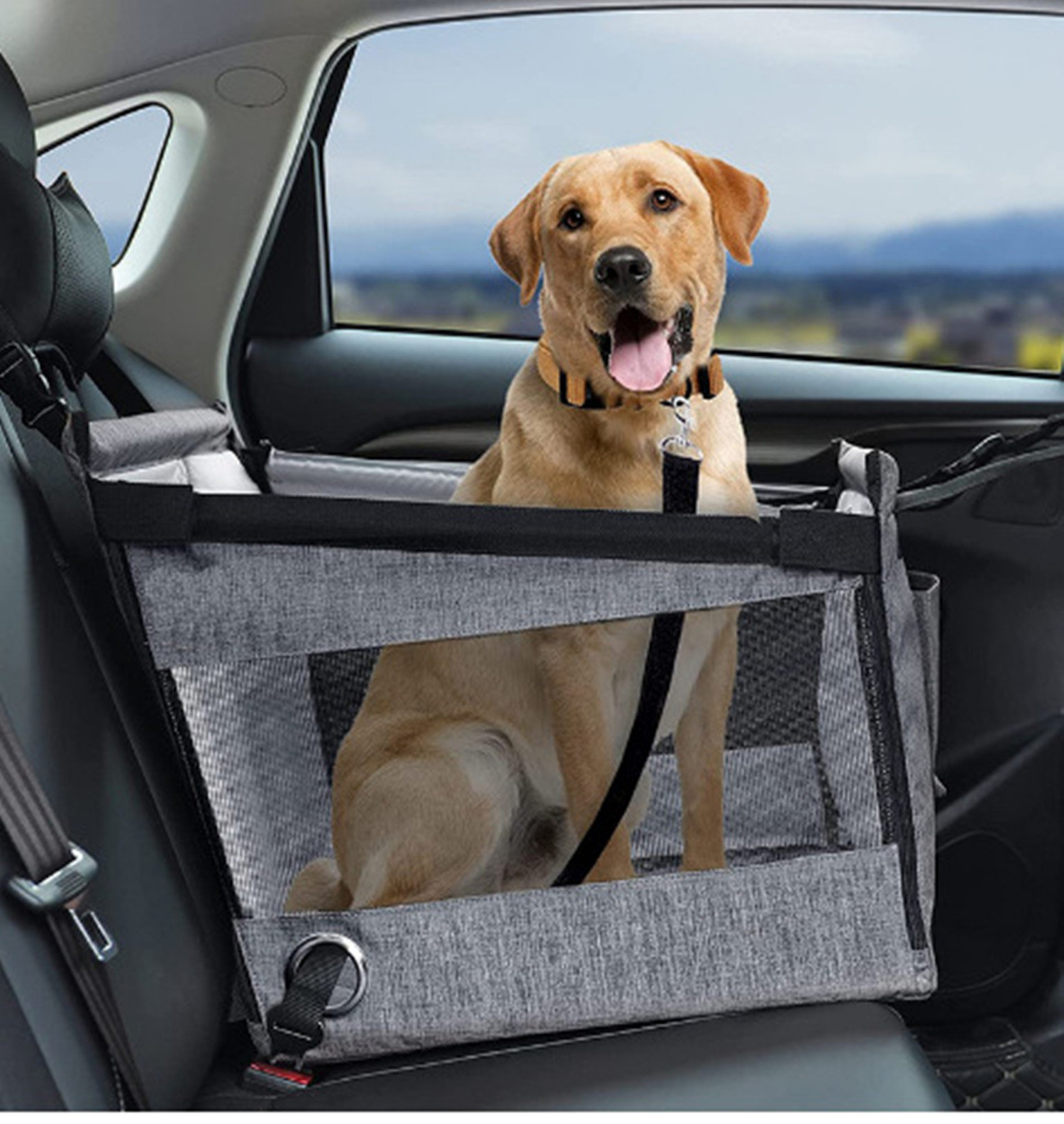 Costyle Dog Car Seats For Large Dogs Pet Car Booster Seat Travel ...