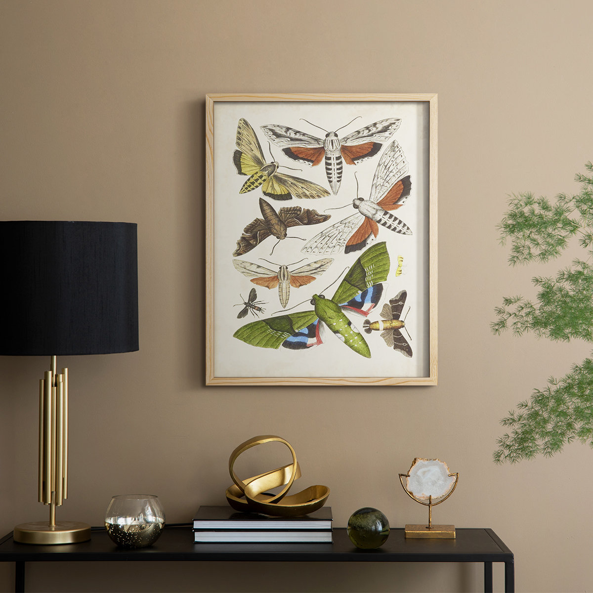 Gracie Oaks Antique Moths II Framed Print - Solid Wood | Wayfair