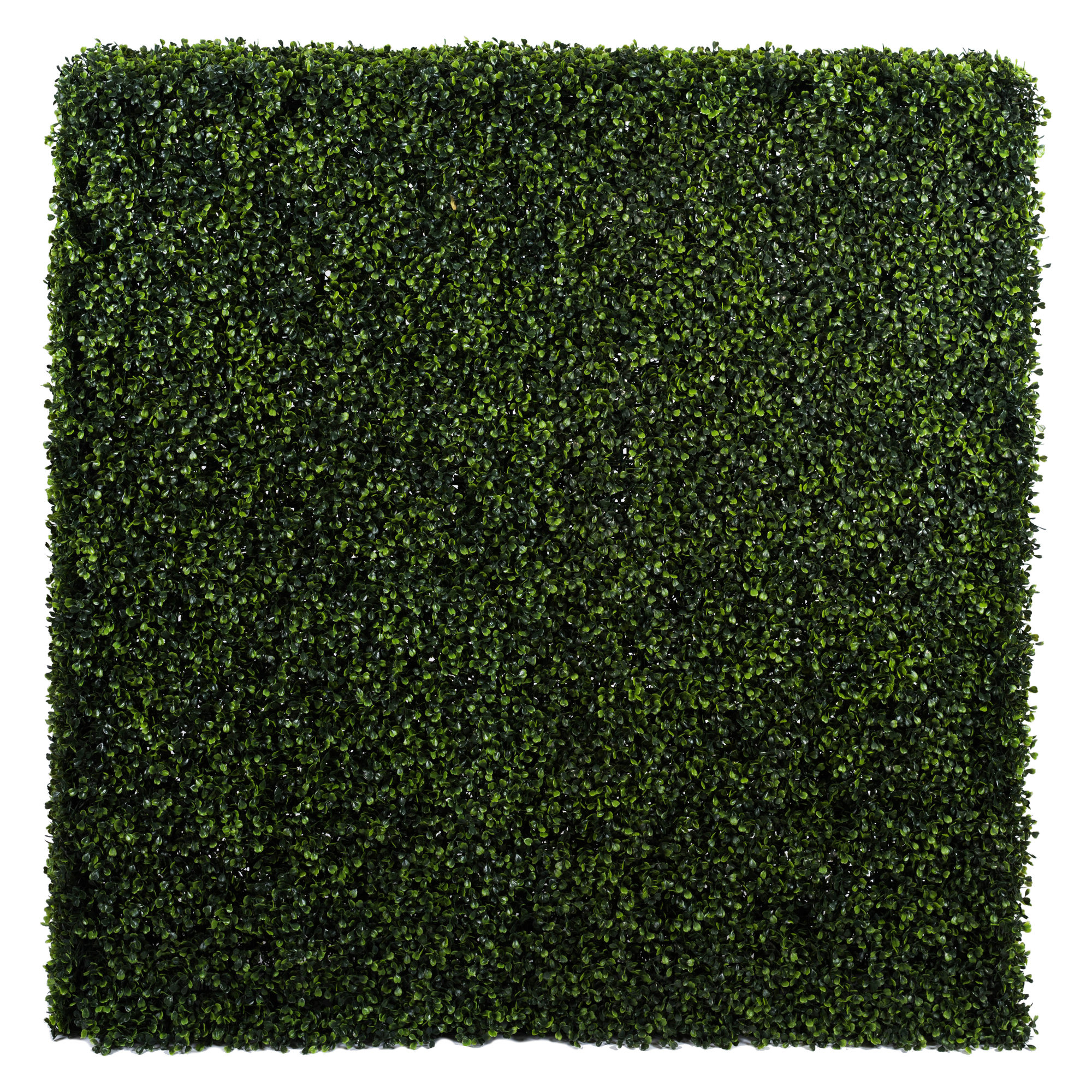 Primrue Artificial Boxwood Cube Hedge | Wayfair