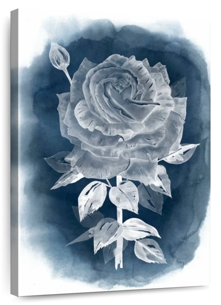 Elephant Stock Ghost Rose I | Wayfair