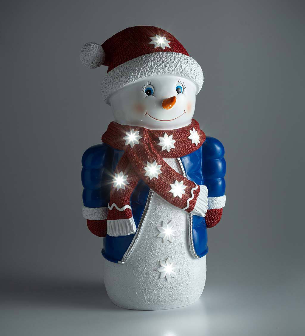 The Holiday Aisle® Jaydeliz Indoor/Outdoor Lighted Snowman Shorty ...