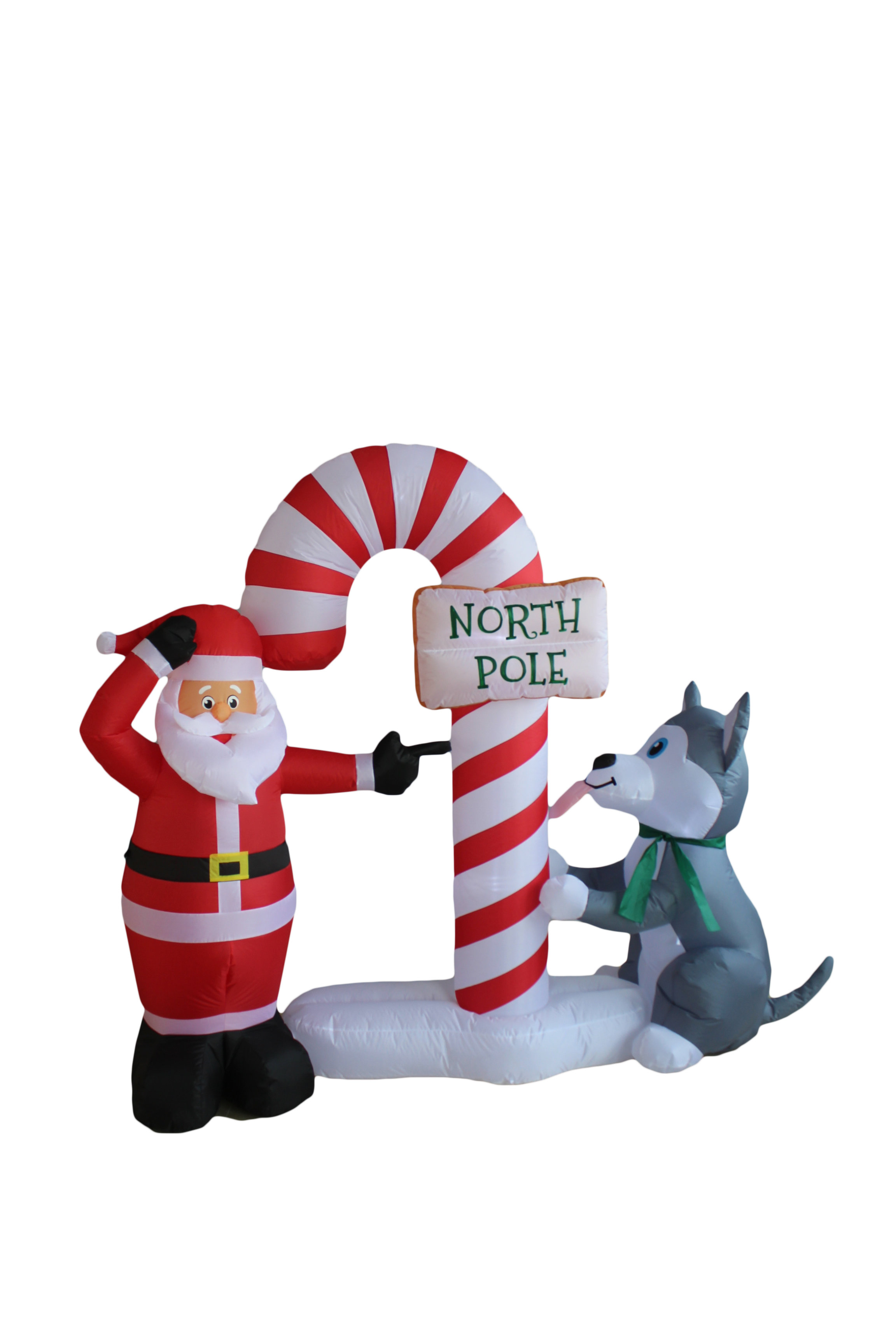 The Holiday Aisle® Santa's Doggy Dare Inflatable & Reviews | Wayfair