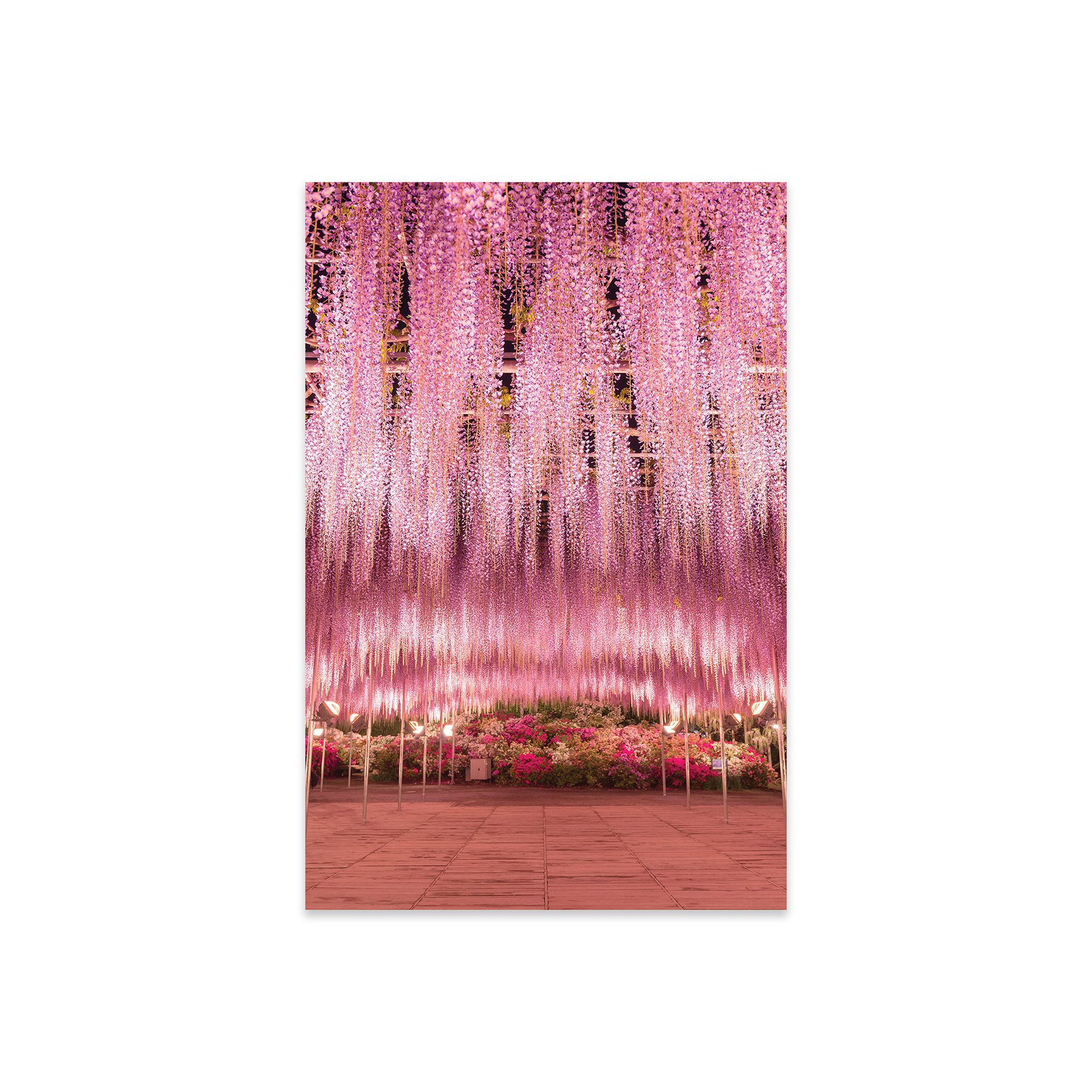 Latitude Run® Spring In Japan XII Print On Acrylic Glass - Wayfair Canada