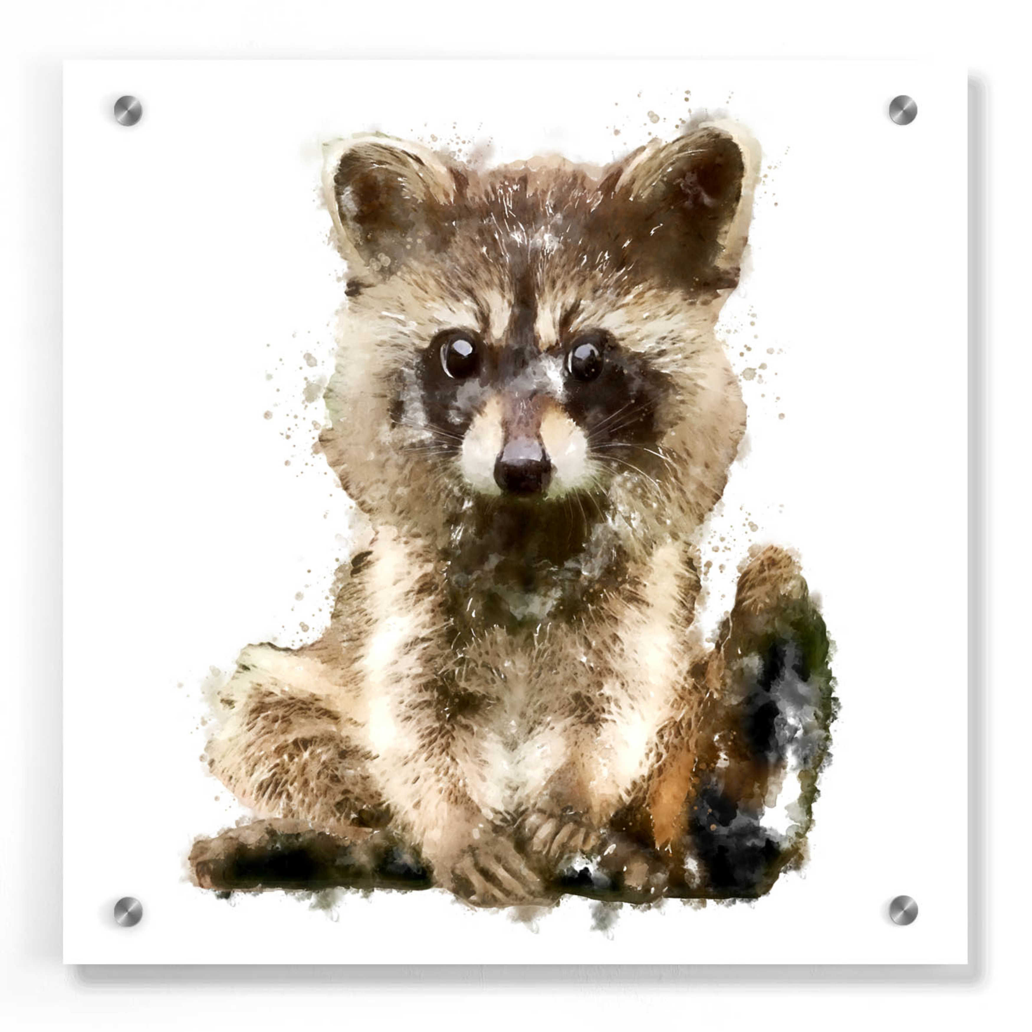 Raccoon Acrylic Painting