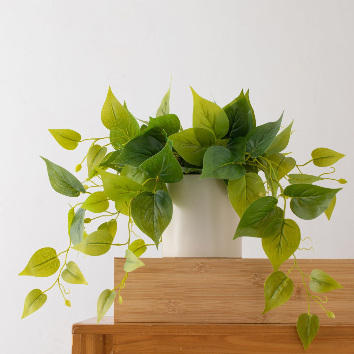 Primrue Faux Foliage Plant in Ceramic Pot & Reviews | Wayfair