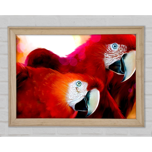 Bay Isle Home Parrots - Single Picture Frame Print | Wayfair.co.uk