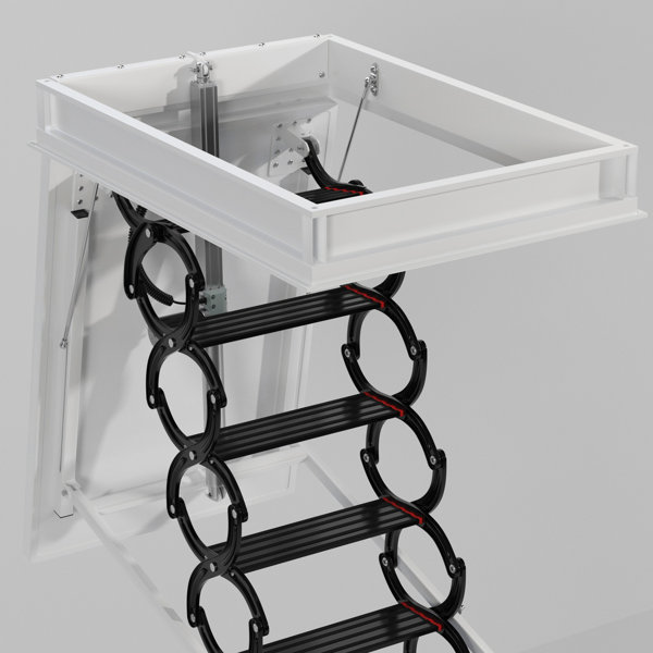 Bruce&Shark 11 - Step Aluminum Step Ladder | Wayfair