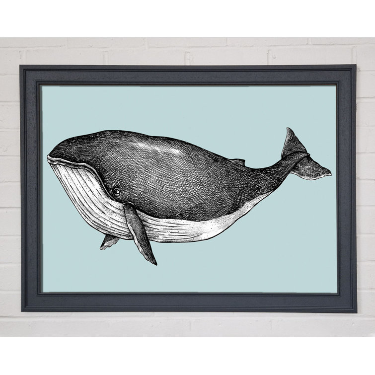 Highland Dunes Big Fat Whale - Single Picture Frame Art Prints ...