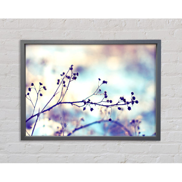 Bright Star Spikey Twigs With Berries - Single Picture Frame Art Prints ...