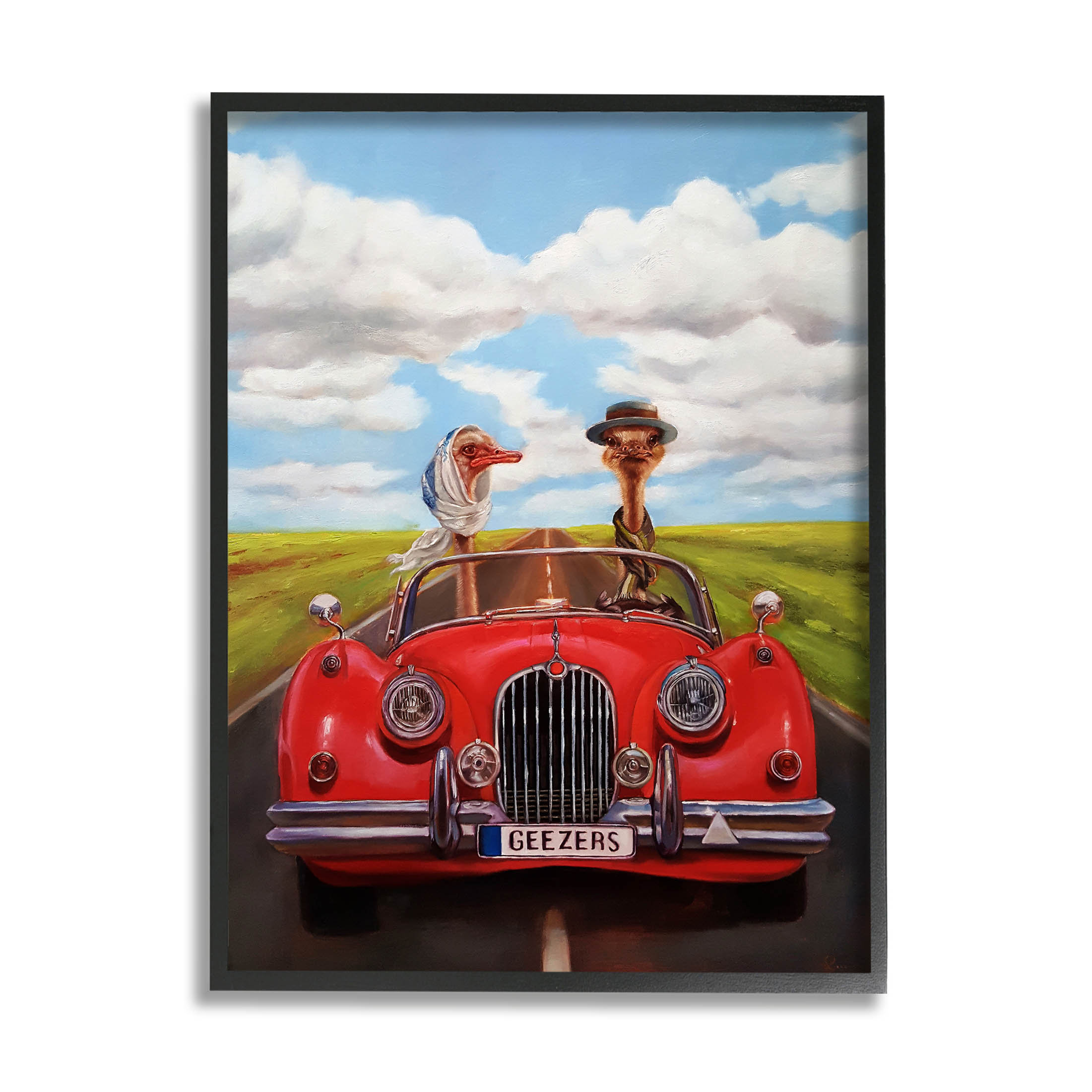 Trinx Ostrich Couple Geezers Convertible Framed Wall Art - Wayfair Canada