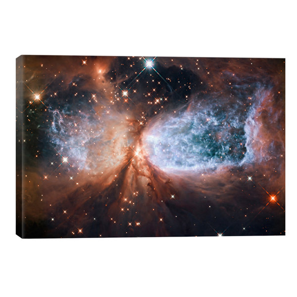 Ebern Designs Celestial Snow Angel S106 Nebula (Hubble Space Telescope ...