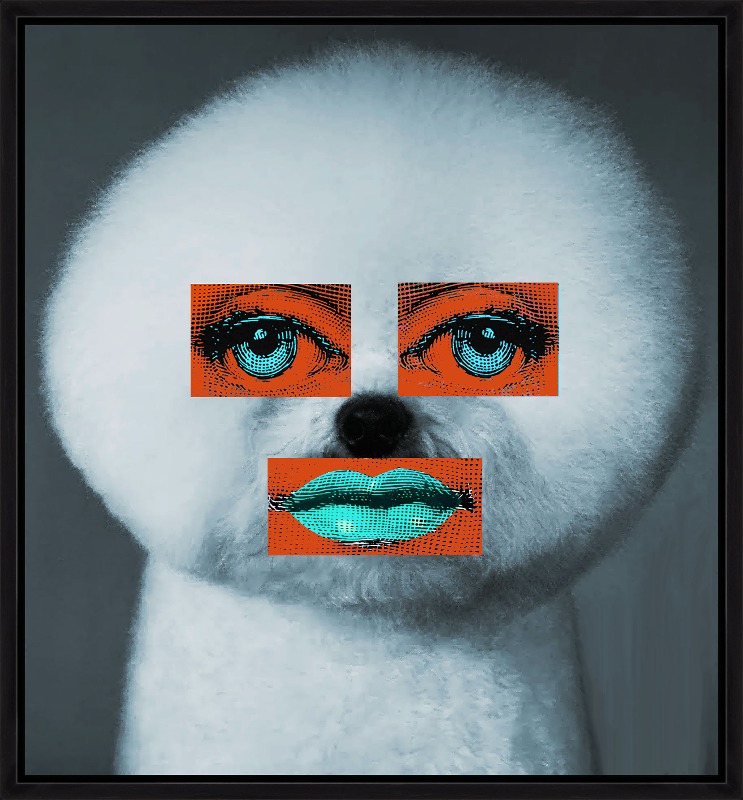 Chelsea Art Studio Puffball 4 by Jeffrey Goodman - Floater Frame ...