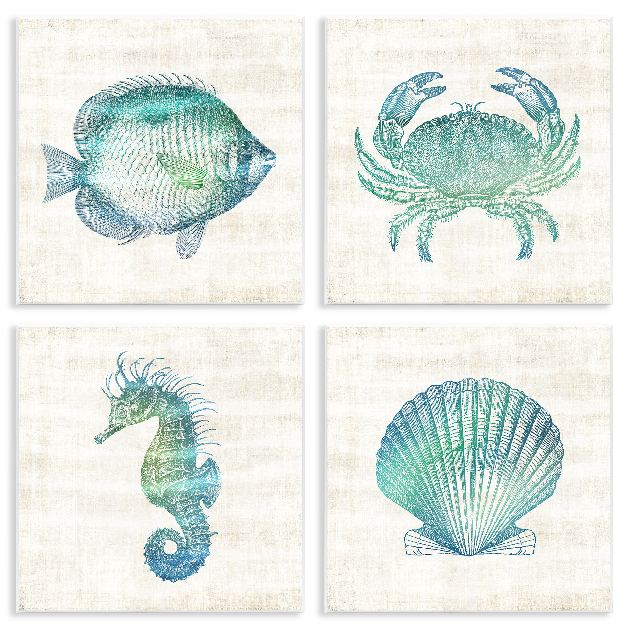 Dovecove Aquatic Sea Life Impressions 4pc Wall Plaque Set, design by ...