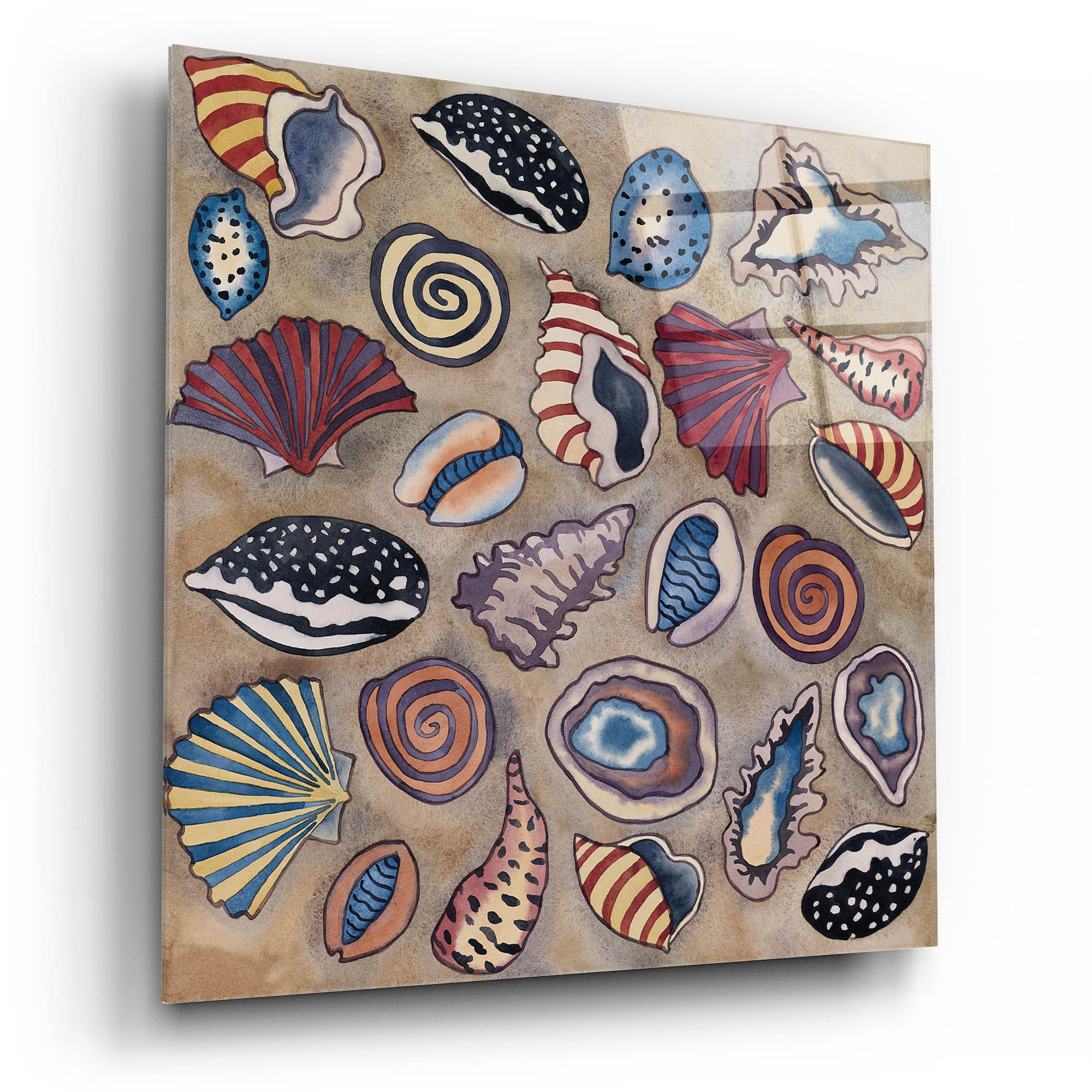 Highland Dunes Sea Shells- Square On Plastic / Acrylic Print | Wayfair