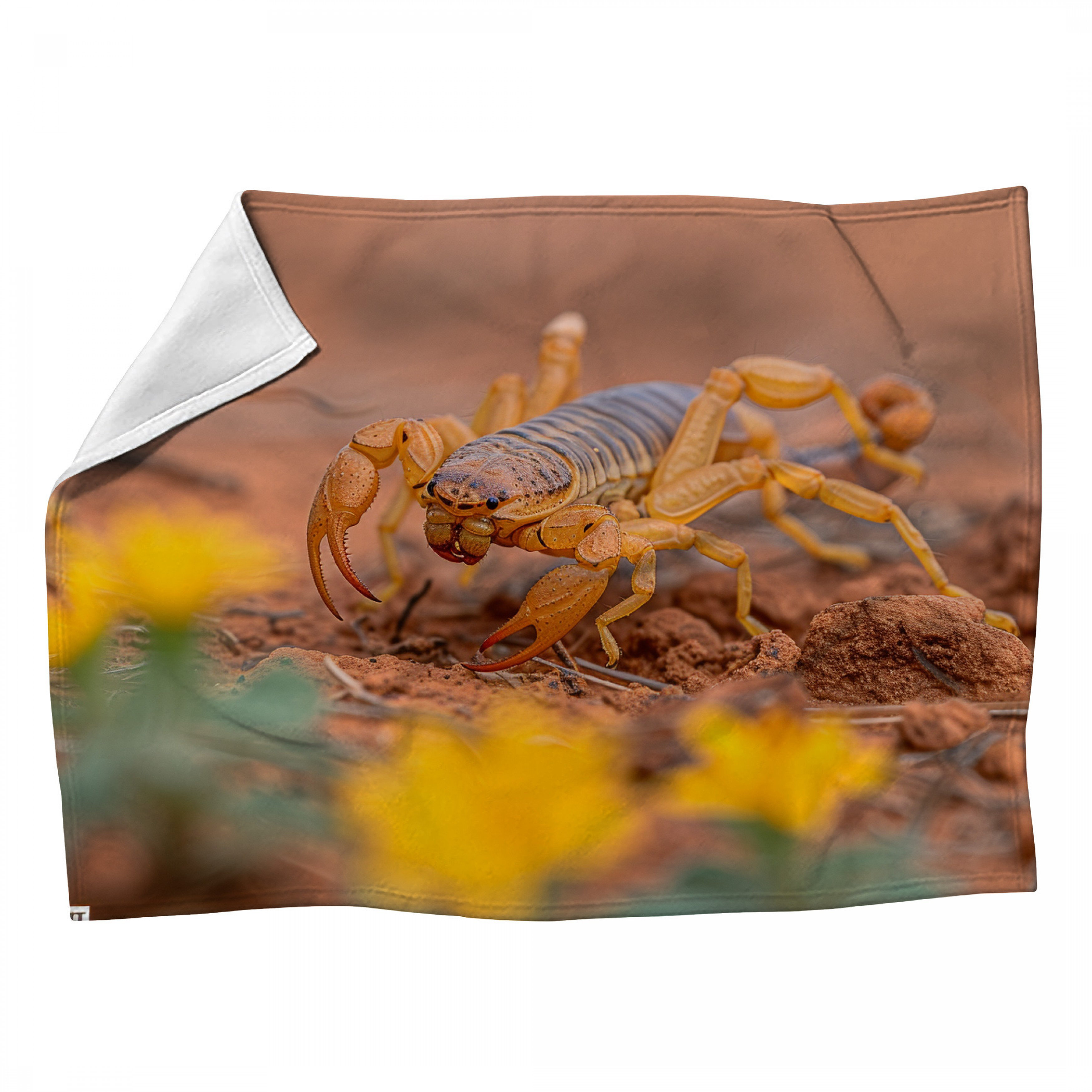 VisionDecor Scorpion Fleece Throw Blanket - Insect Throws for Sofas or ...
