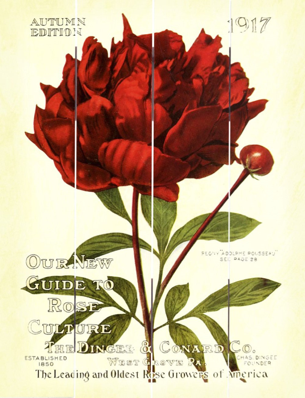 Rosalind Wheeler Dingee and Concord II - Unframed Textual Art on Wood ...