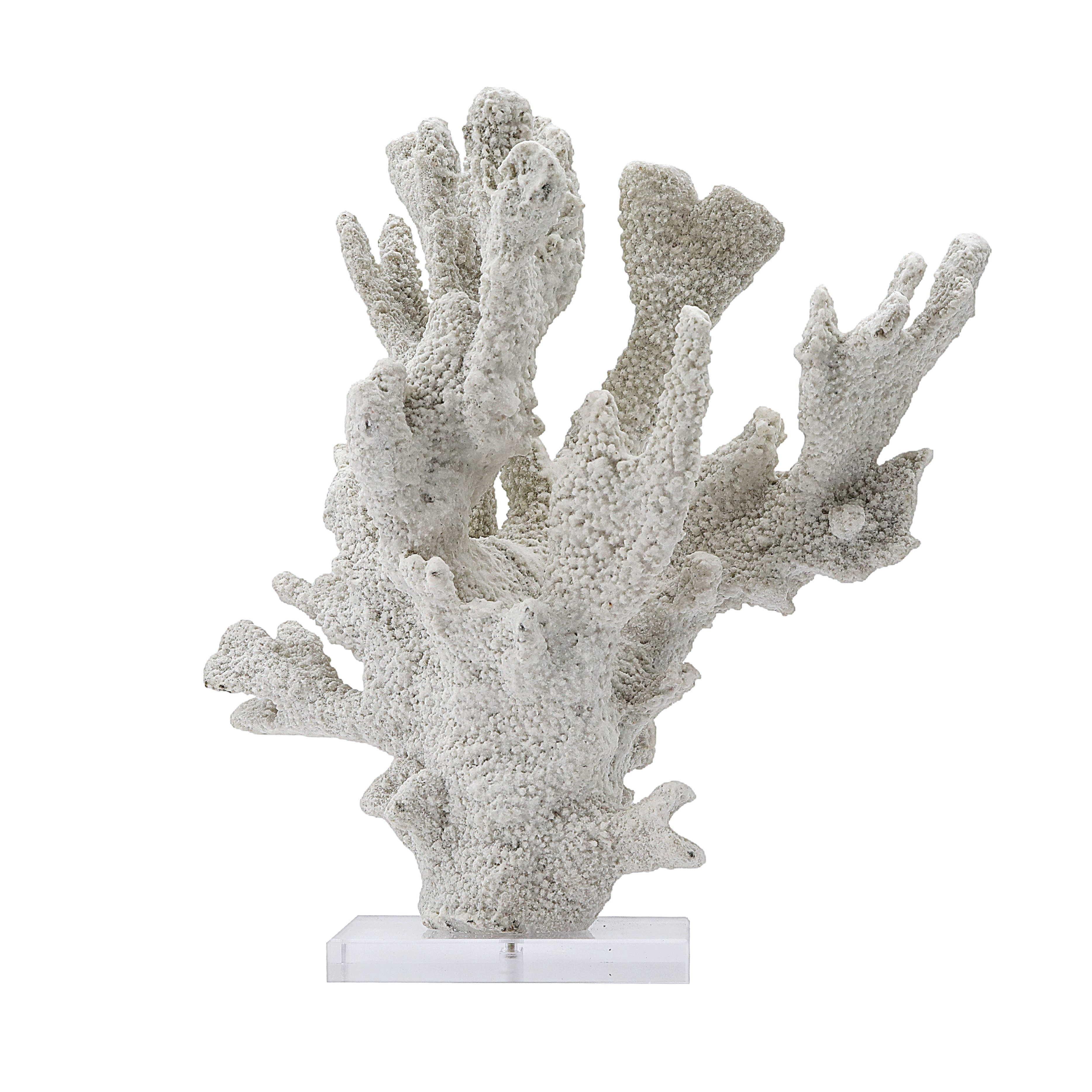 Zentique Off-white Resin Coral On Acrylic Base | Perigold