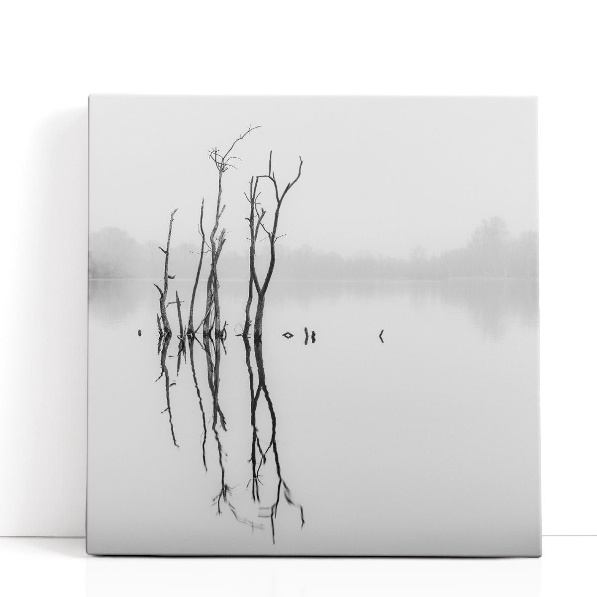 Ebern Designs Twigs in Lake - Canvas Print Wall Art | Wayfair