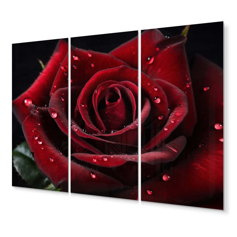 Design Art Red Rose with Raindrops V - Roses Metal Wall Art Set | Wayfair