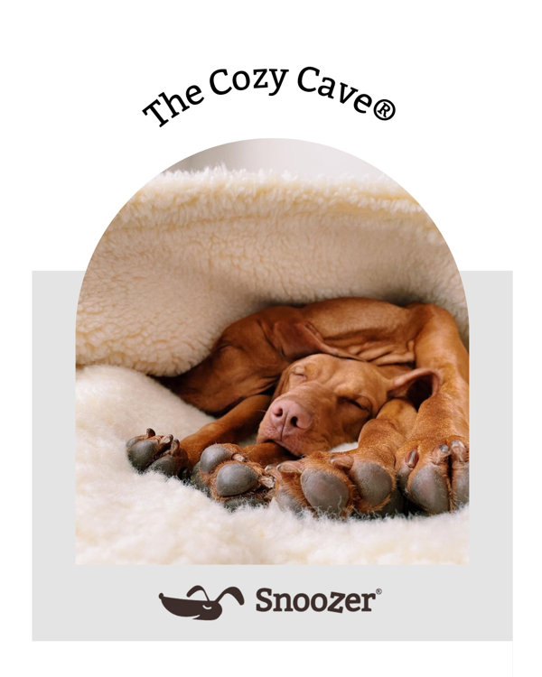 Snoozer Cozy Cave Hooded Dog Bed Poly/Cotton & Reviews | Wayfair