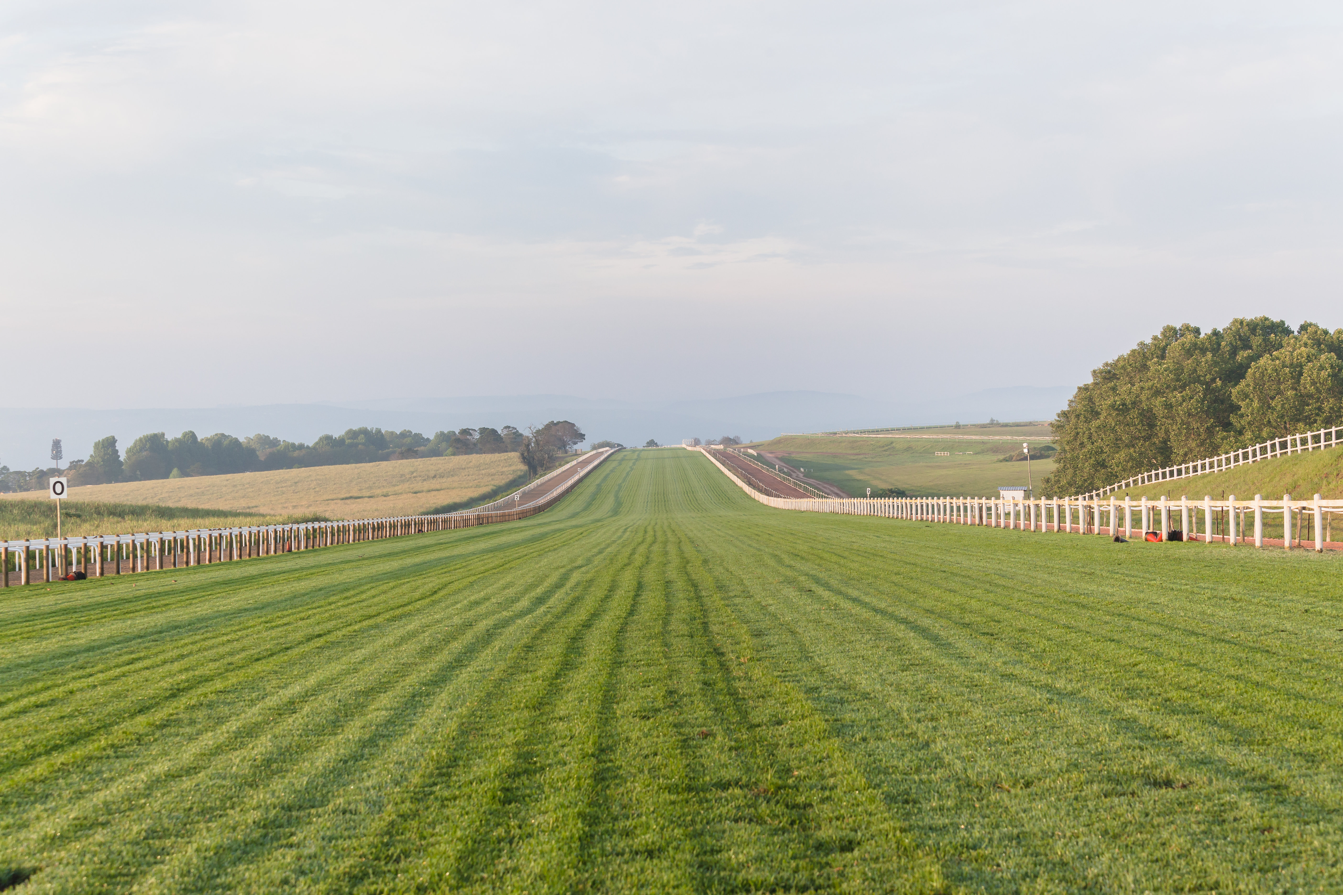 Brambly Cottage Horse Racing Track - Wrapped Canvas Photograph | Wayfair.ie