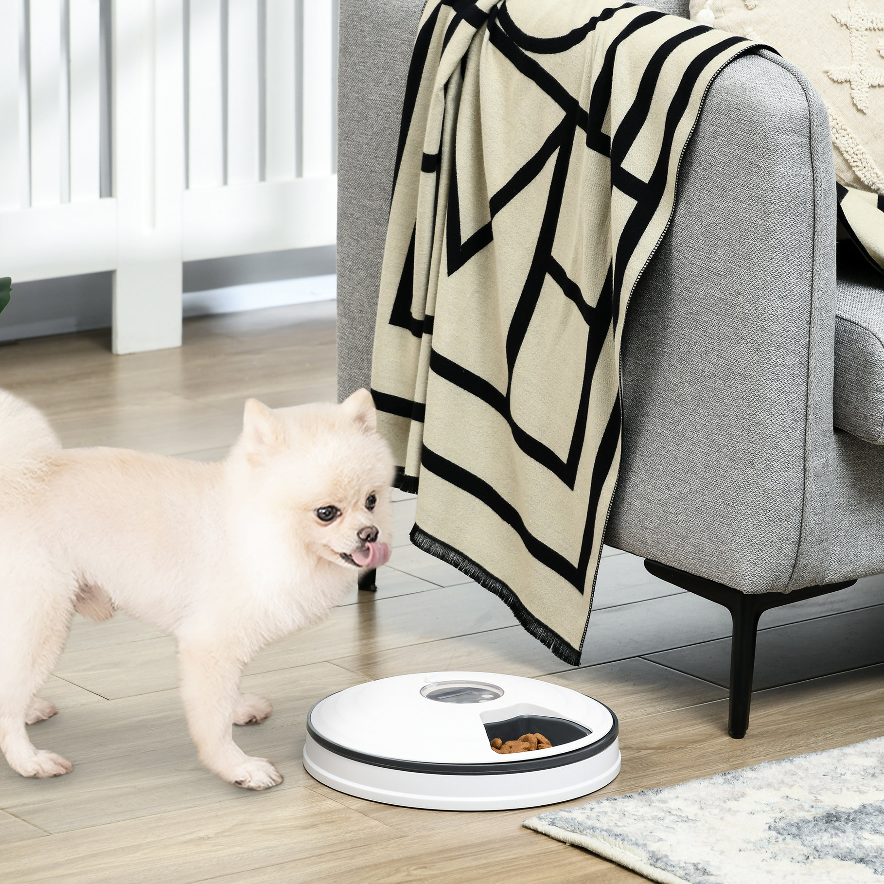 Orren Ellis Digital Led Display Automatic Pet Meal Feeder, 6 Trays For ...