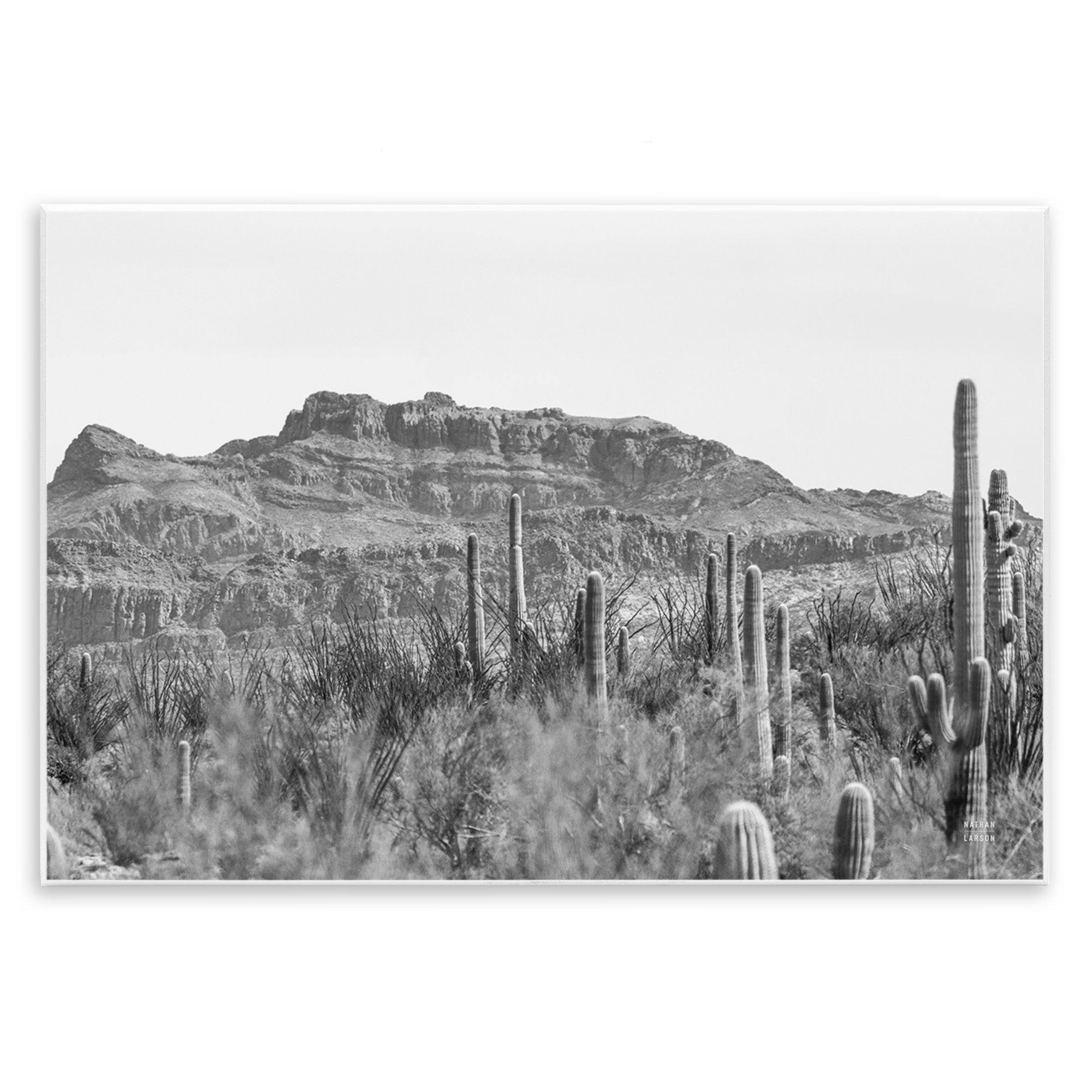 Ebern Designs American Borderlands Desertscape Wall Plaque Art by ...