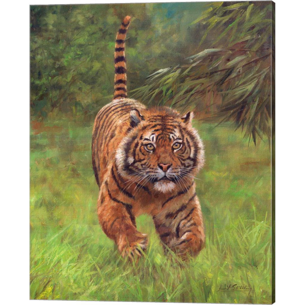 Bungalow Rose Sumatran Tiger Running by David Stribbling - Wrapped ...