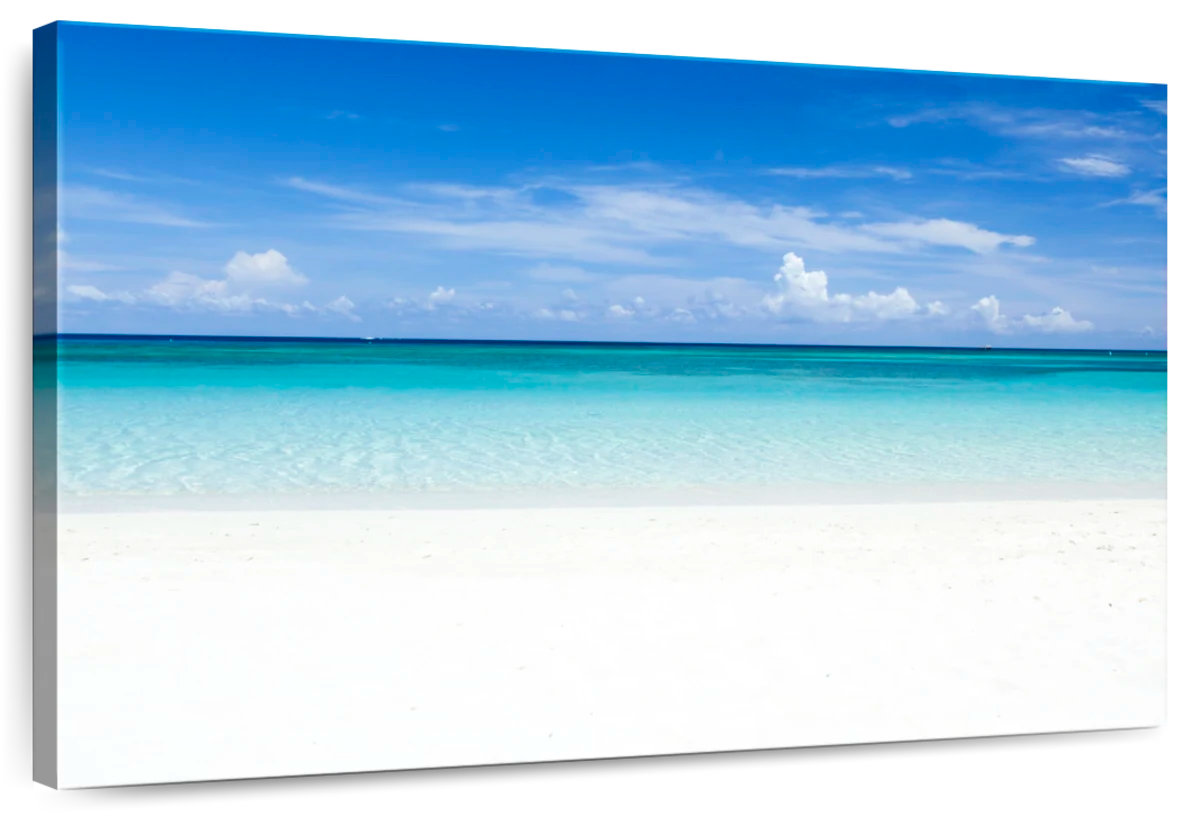 Millwood Pines Alvord Deserted Caribbean Beach | Wayfair