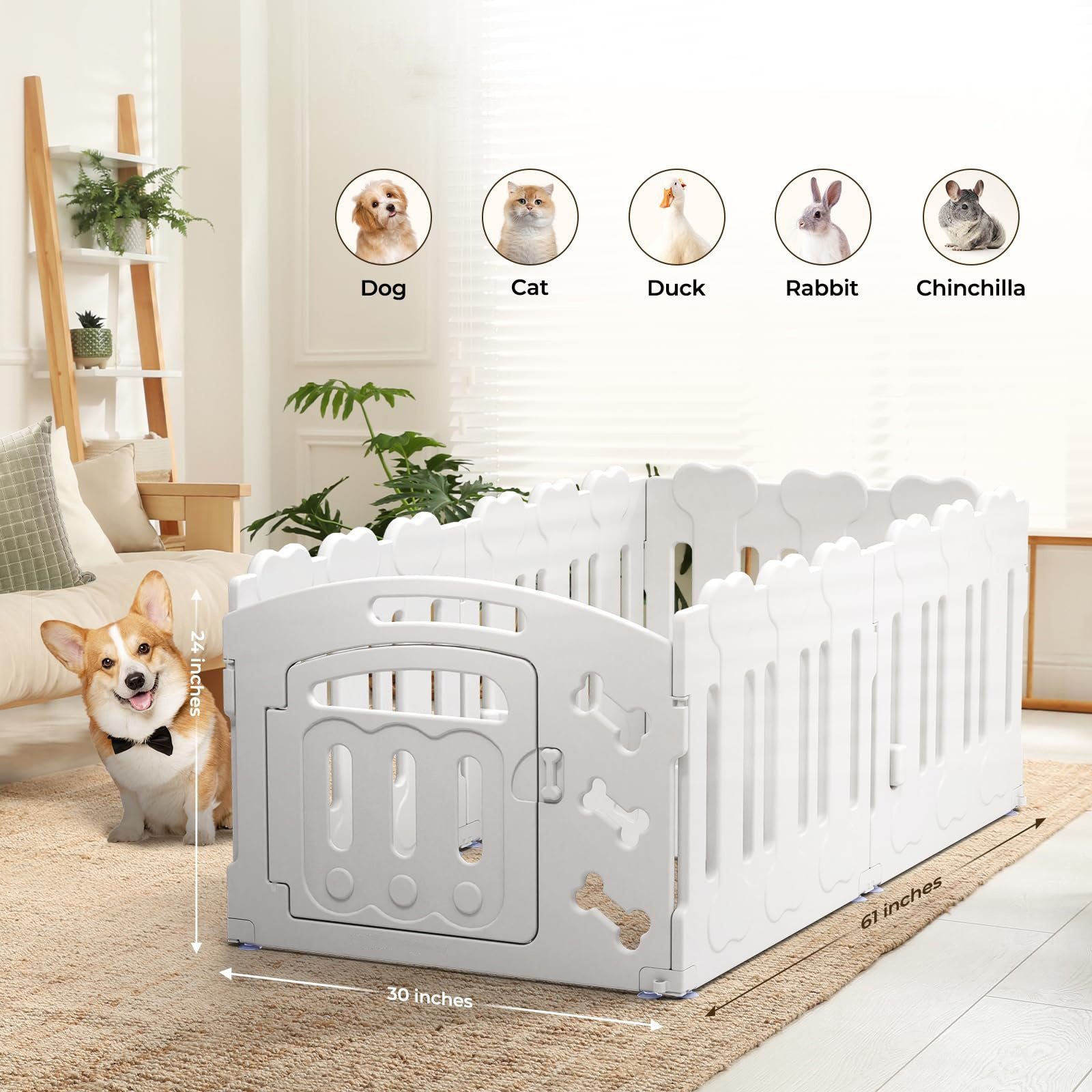 BETOFUL Dog Playpen with Door & Whelping Box - Wayfair Canada