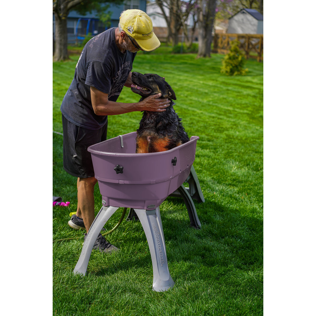 Booster Bath Elevated Pet Bathing System & Reviews | Wayfair