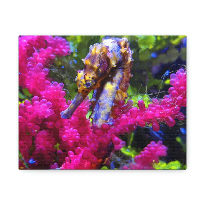 Rosecliff Heights Seahorse by Kelly Johnson - Wrapped Canvas Graphic ...