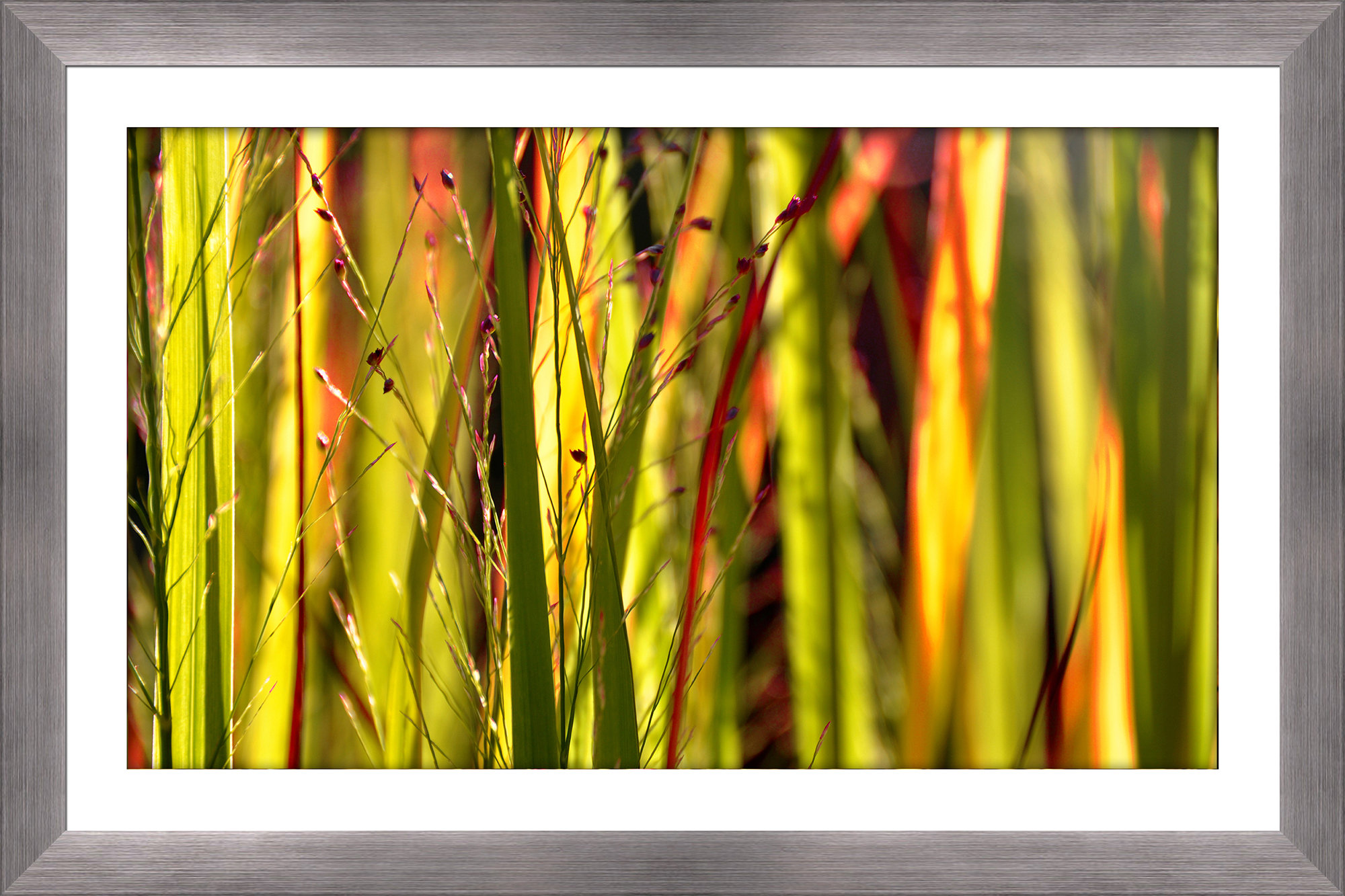 Wendover Art Group Blades of Grass' Artwork at Corridor - Picture Frame ...