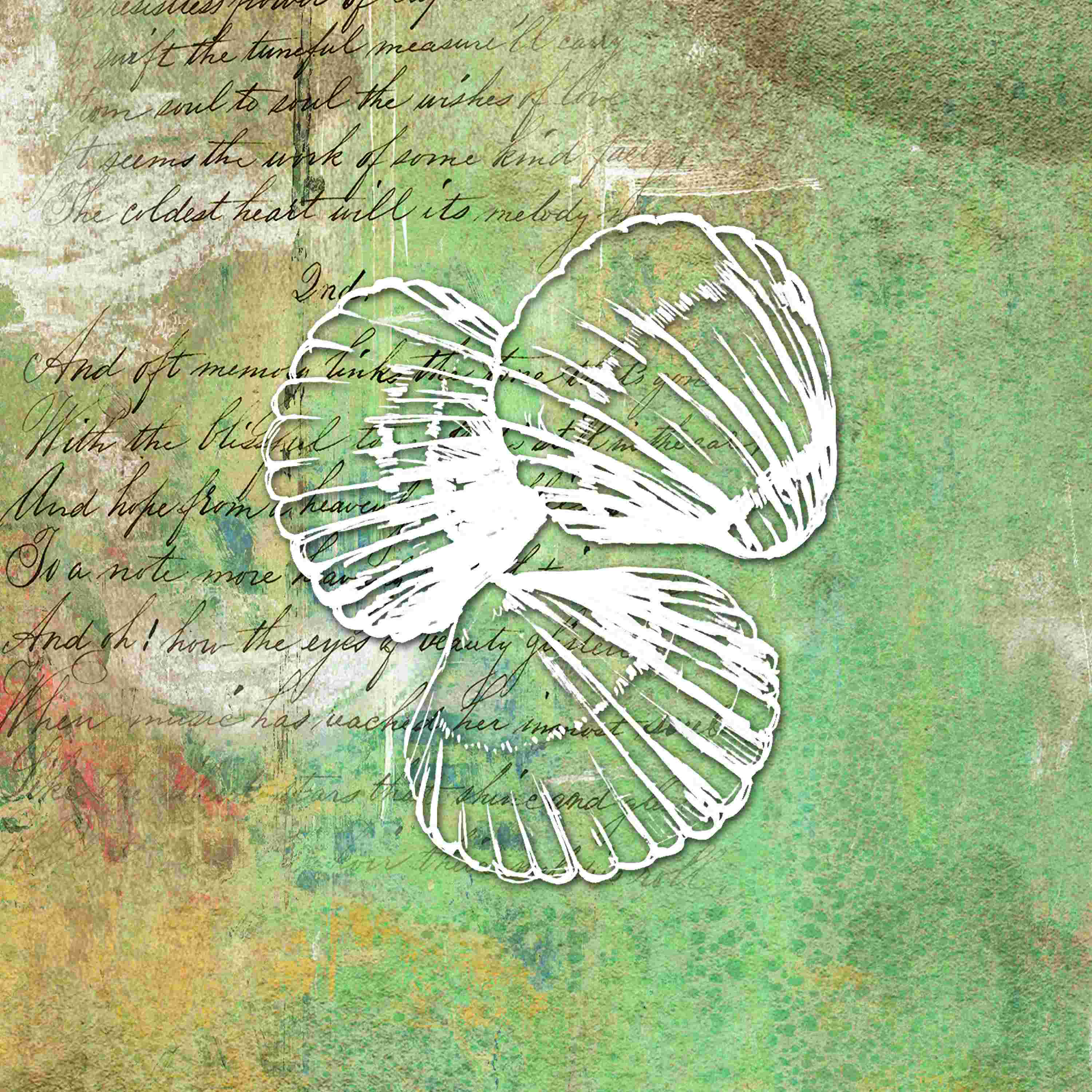 Highland Dunes Distress Sea Shell 1 - Wayfair Canada