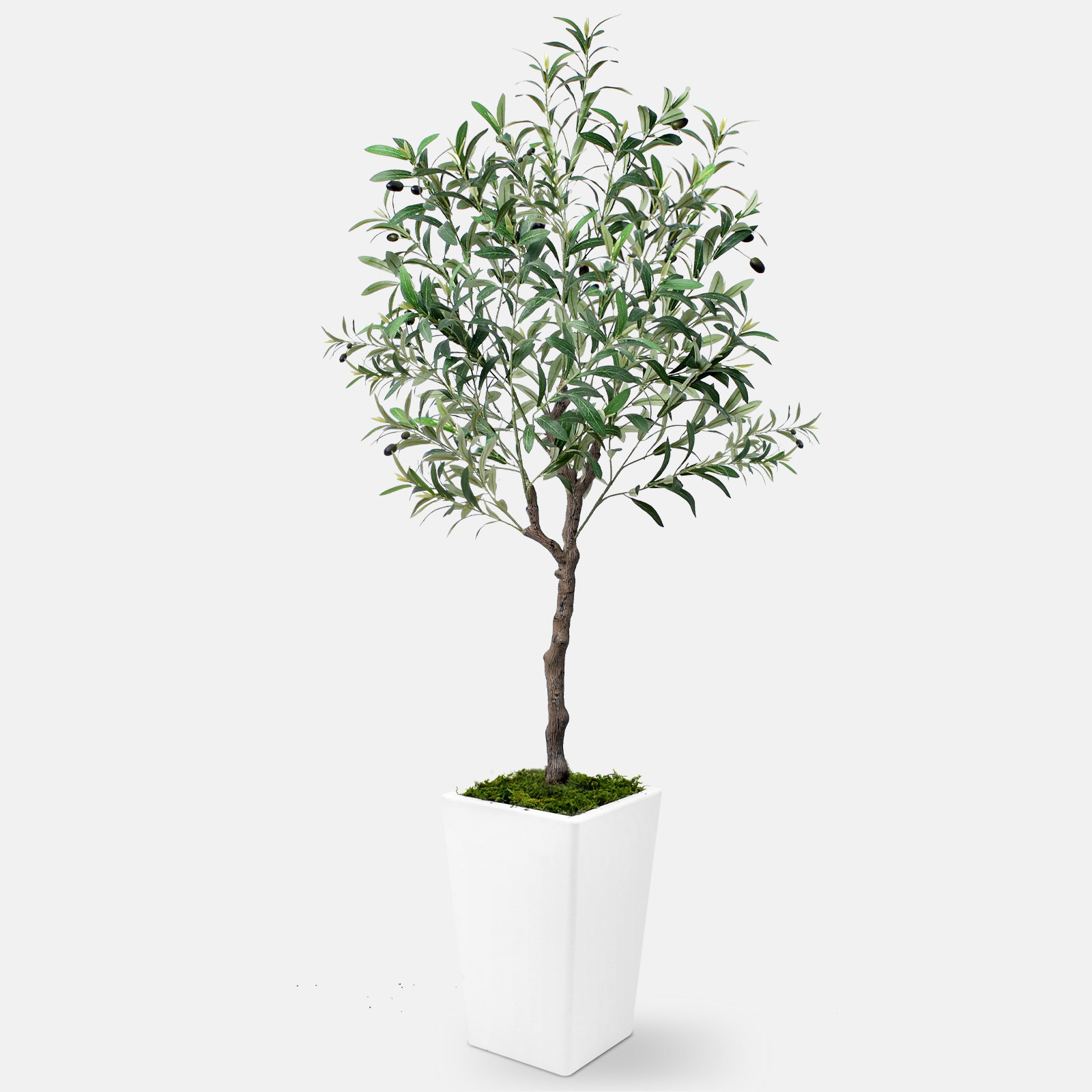Primrue Paislee Artificial Olive Tree, Faux Olive Tree with Tall White ...