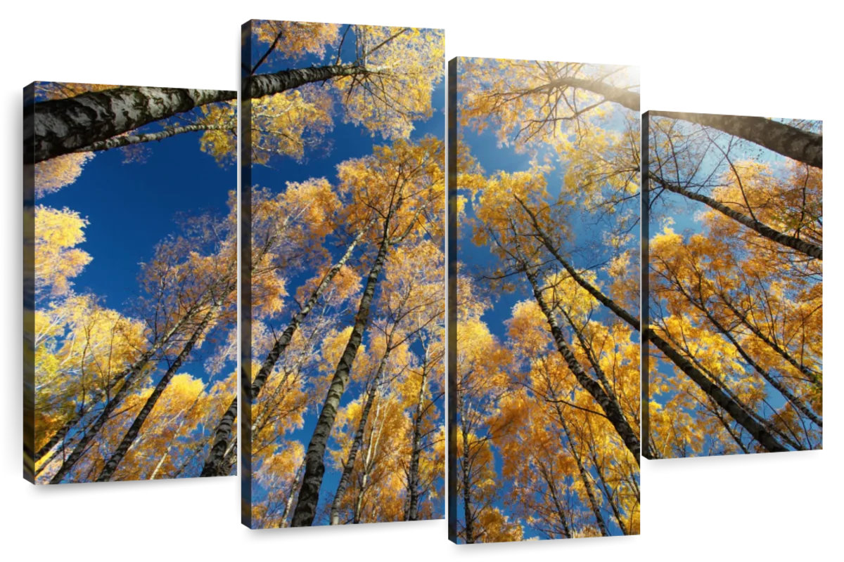 Lark Manor™ Harnek Sun Above Fall Trees | Wayfair