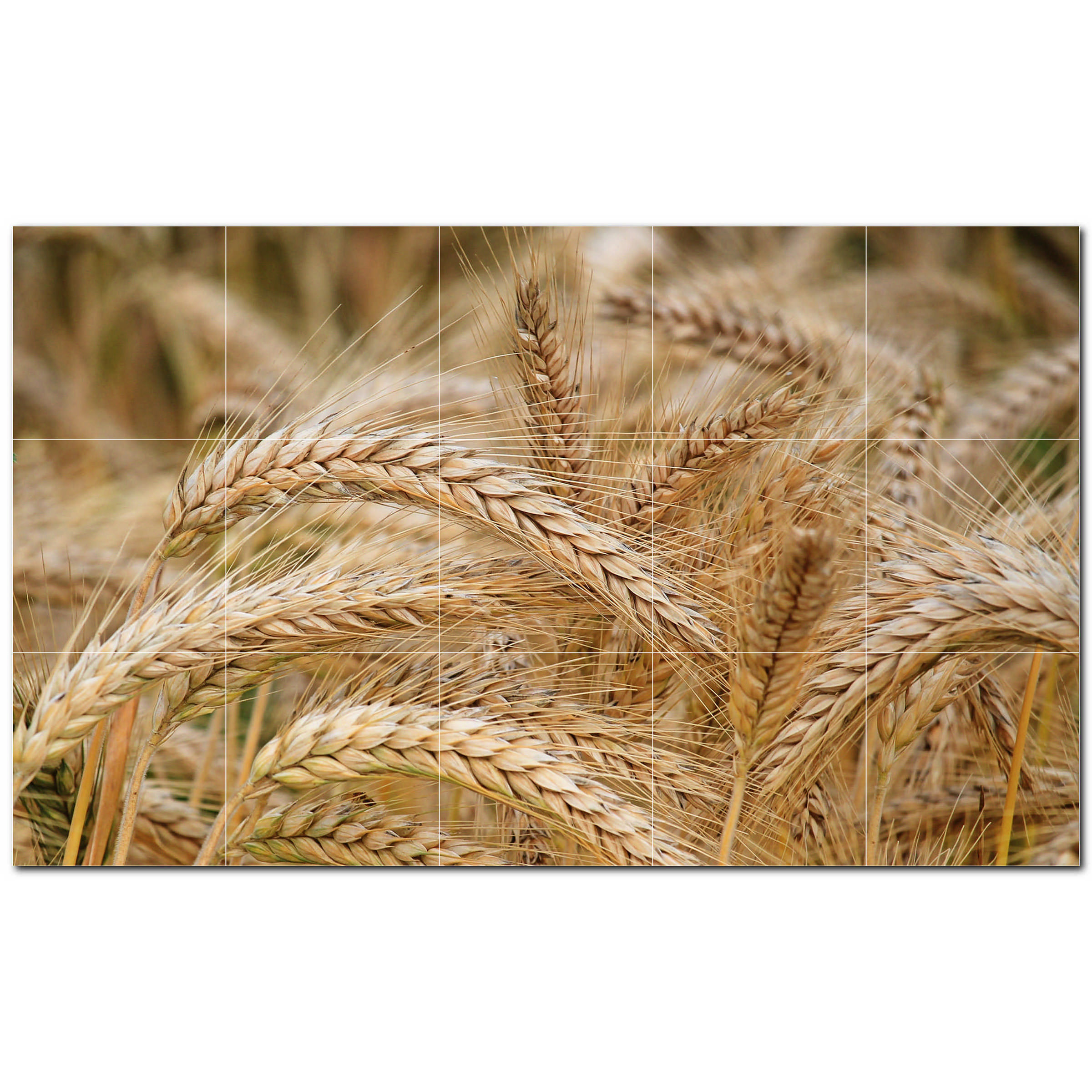 Picture-Tiles.com 40" x 24" Ceramic Farm Photo Decorative Mural Tile ...