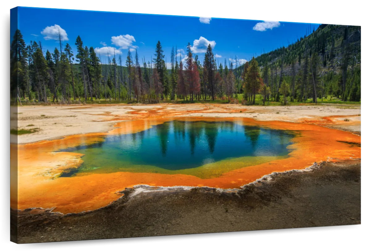 Millwood Pines Alvord Yellowstone Colorful Geyser | Wayfair