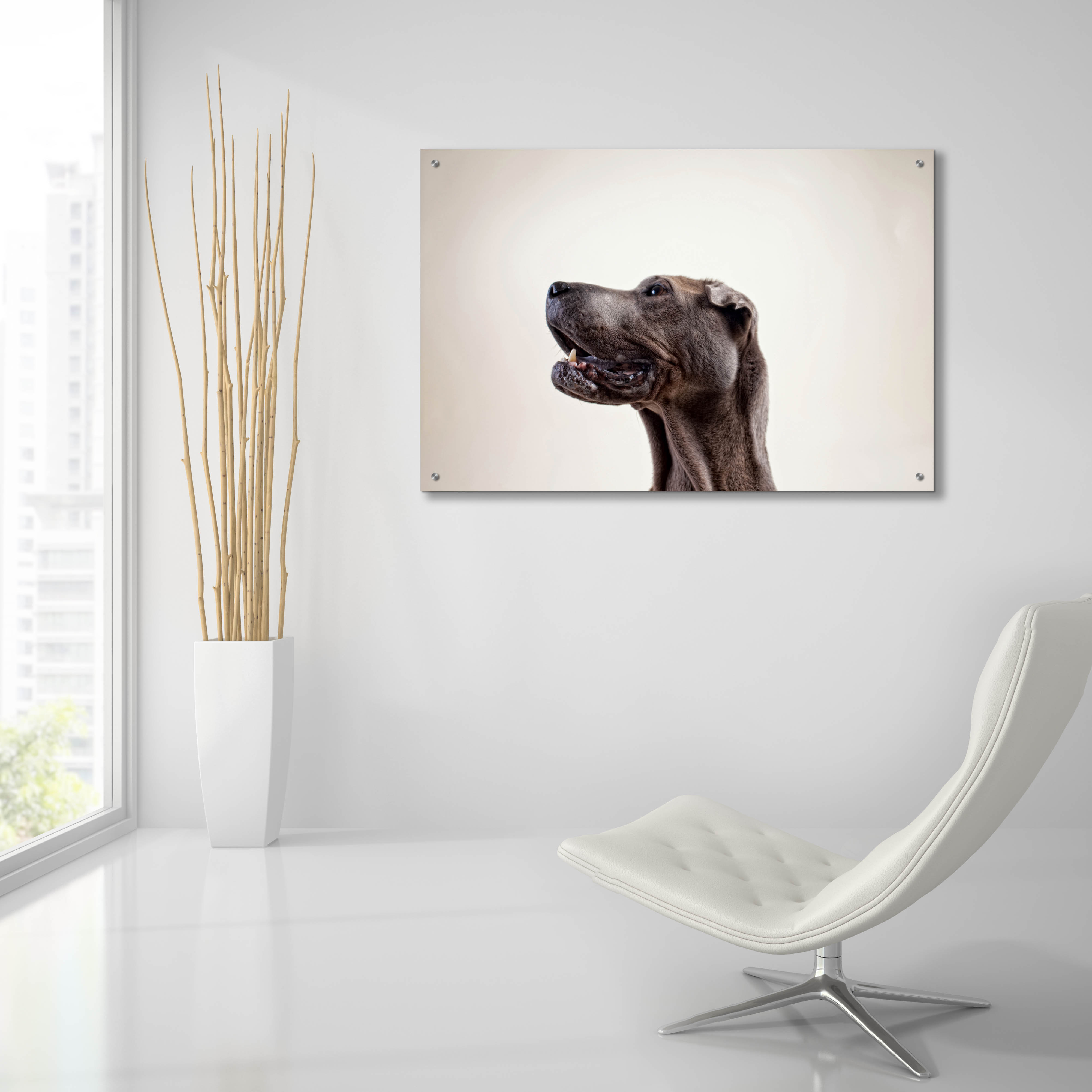 Latitude Run® ' Pelei in Profile' by Susan Sabo, Acrylic Wall Art ...