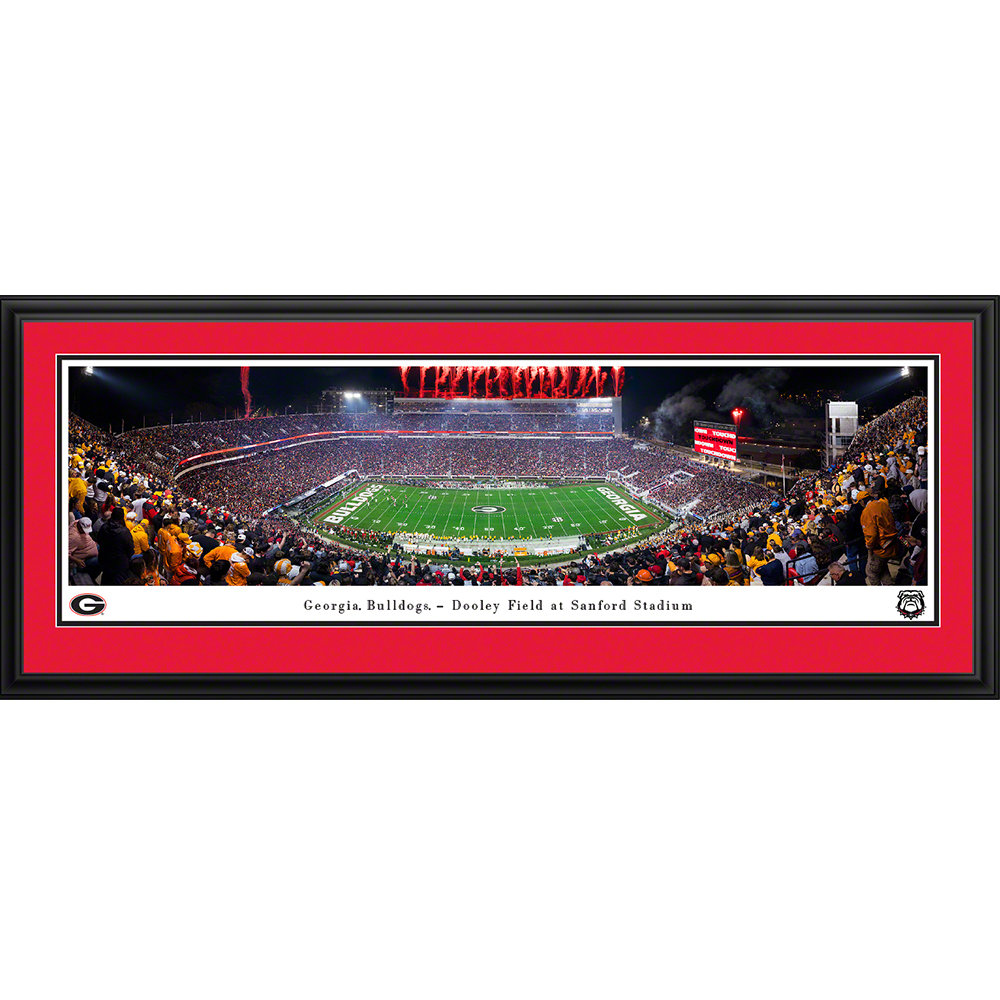 Ebern Designs Georgia Bulldogs Football Panoramic Posters & Framed ...