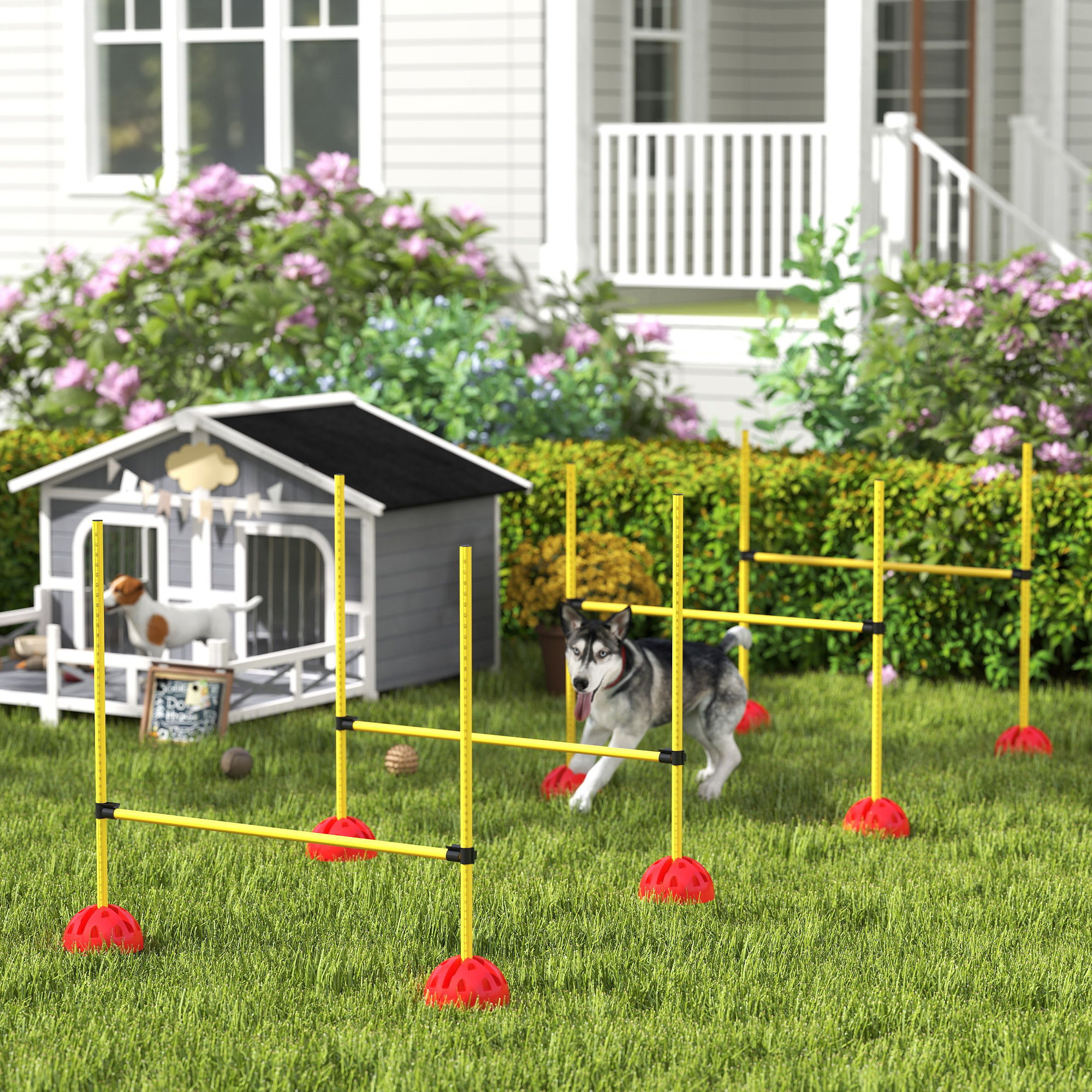 Pawhut 5 Piece Dog Agility Course Backyard Set, Dog Agility Training ...