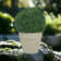 Latitude Vive Caydon Plant Pot | Wayfair.co.uk