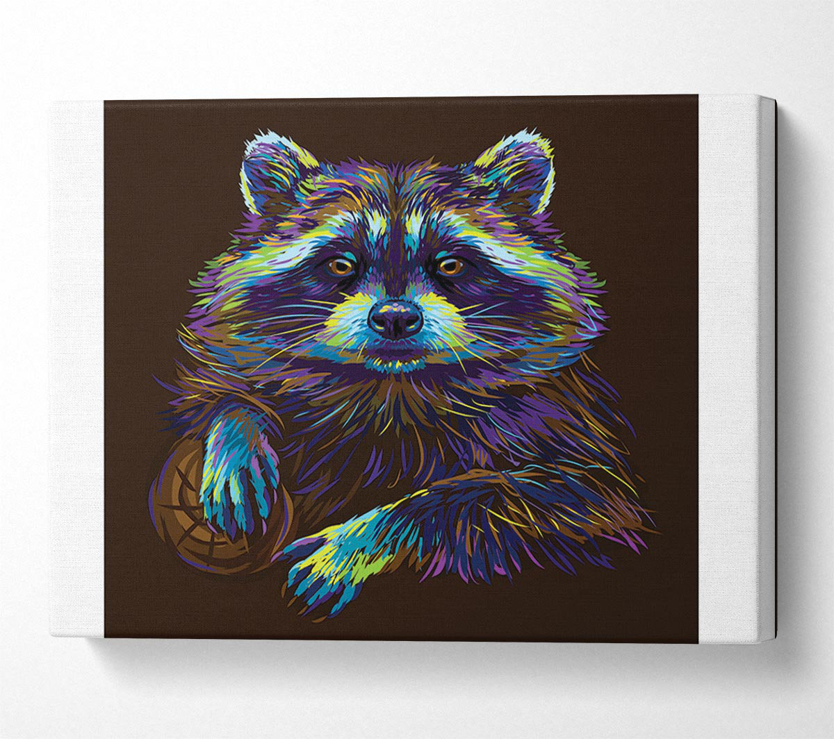 Latitude Vive The Cheeky Racoon - Wrapped Canvas Graphic Art | Wayfair ...