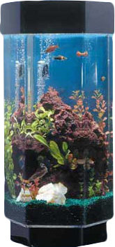 Tucker Murphy Pet™ 20 Gallon Triangle Aqua Tower Aquarium - Alan | Wayfair