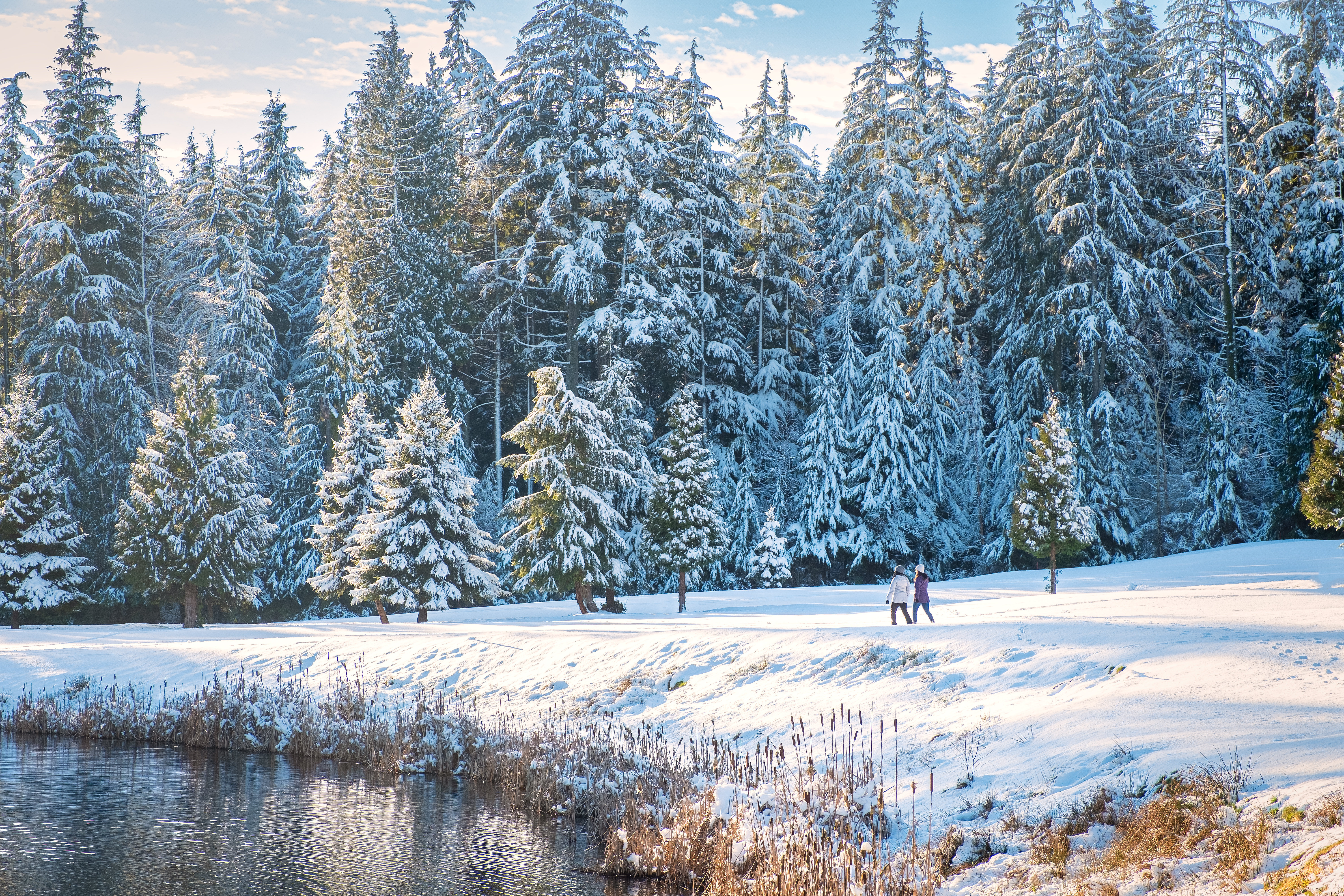 Alpen Home Two Women Walking Along Lakeshore - Print | Wayfair.co.uk