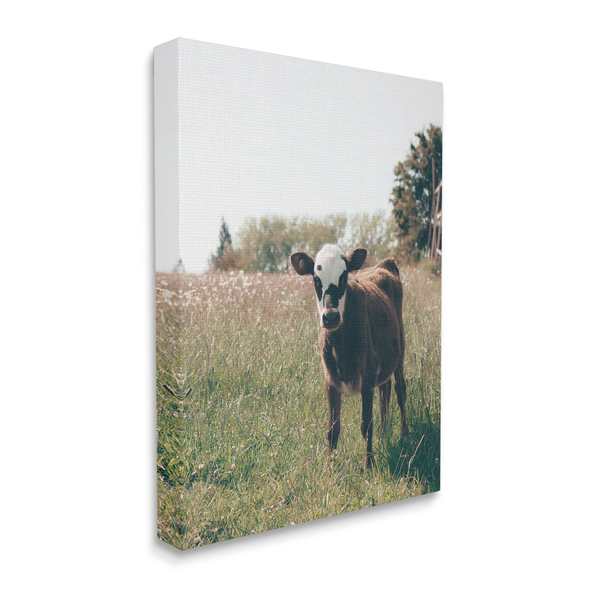 Stupell Industries Au-902-Canvas Cow Calf Rural Farm Meadow On Canvas ...