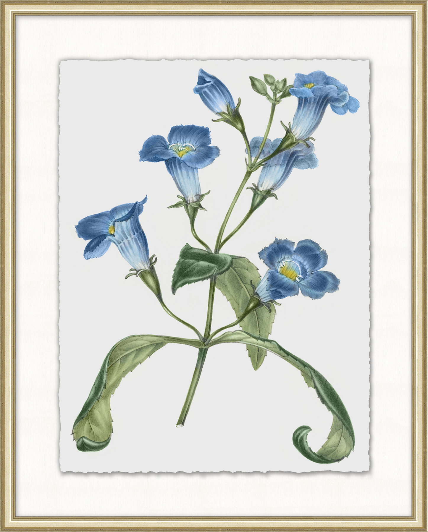 Wendover Art Group Floral Study 9 - Picture Frame Painting | Wayfair