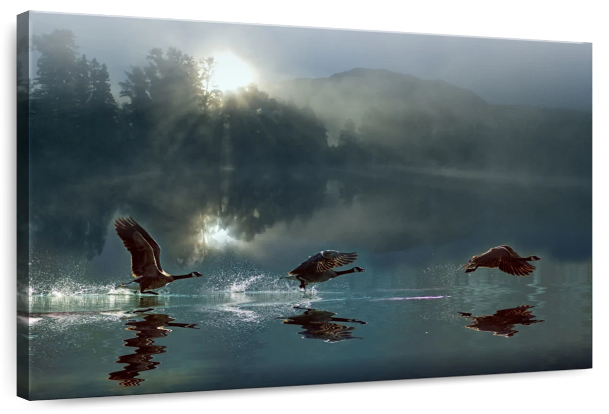 Ebern Designs Geese Skim Over The Water - Wayfair Canada