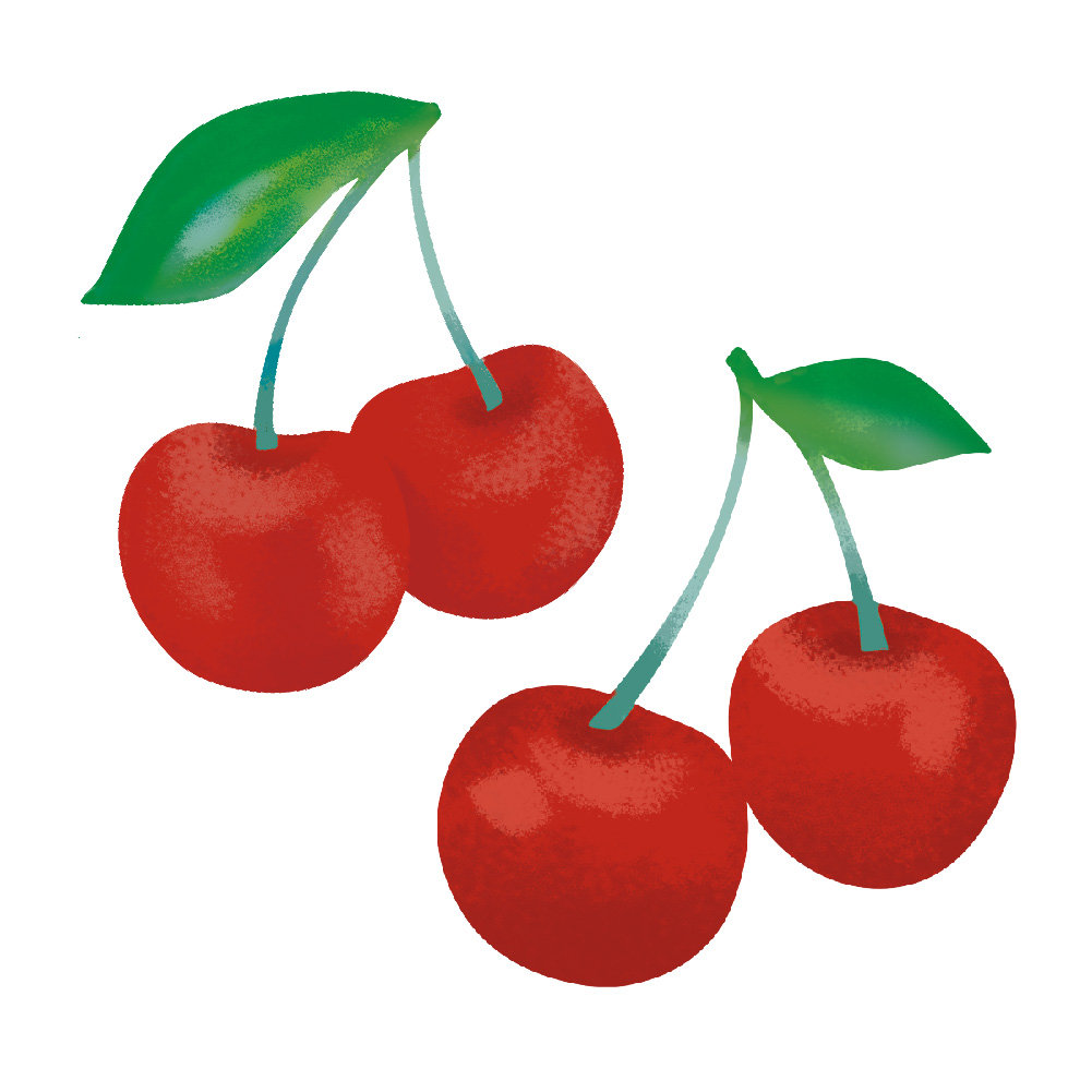 Harper Orchard Cherry Wall Decals | Wayfair