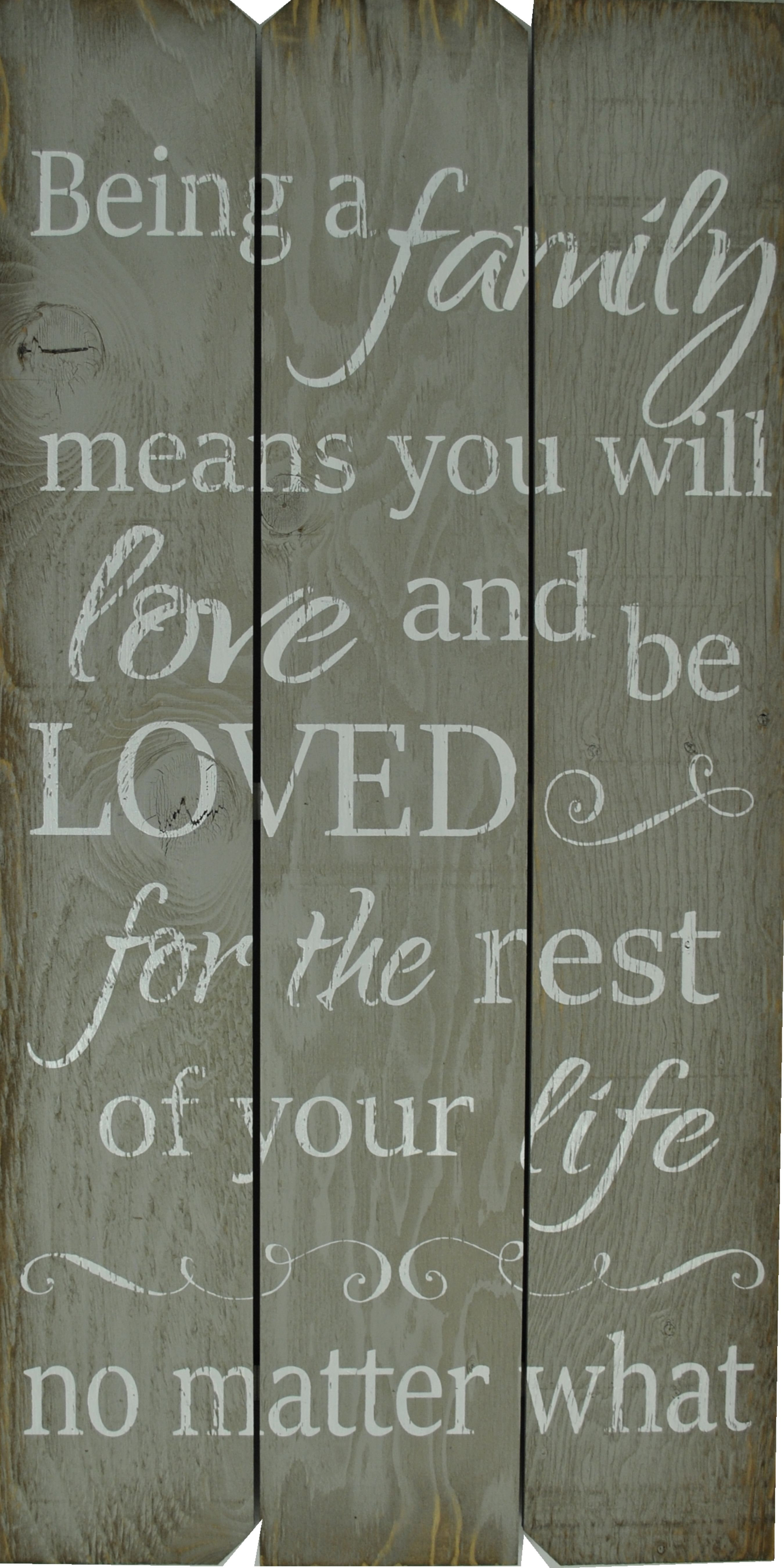 Boulder Innovations Rustic Signs 'Being a Family' Wall Décor & Reviews ...